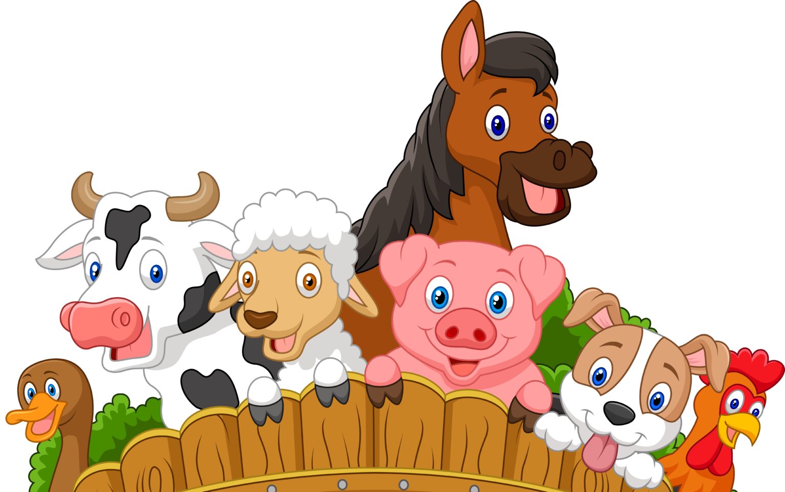 Special Music Selections – David Burke Music